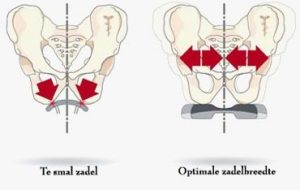 Zadelmeting: zadel op maat voorkomt zadelpijn! - Fietsspeciaalzaak ...